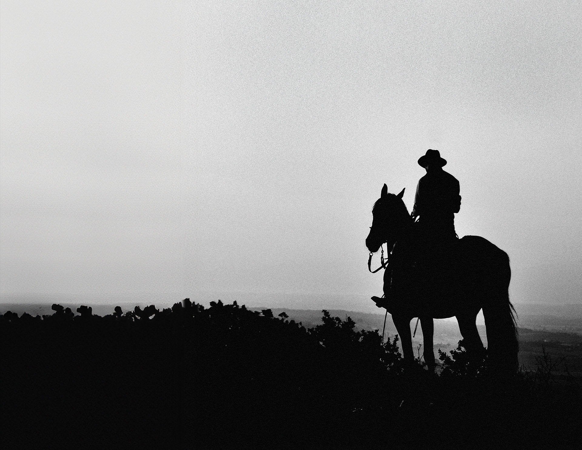 The Cowboy Up Cap Sweepstakes Program - Sella Antica